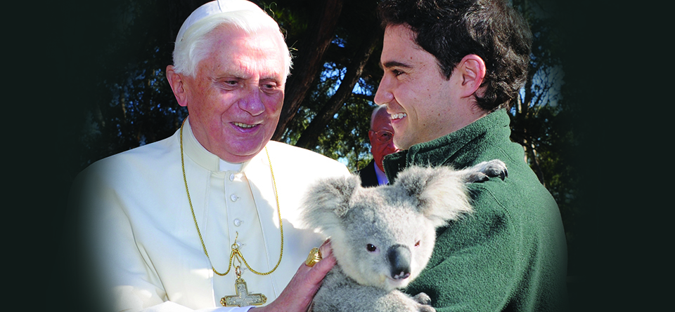 Pope’s Koala Bear Turns Ten - Catholic Outlook