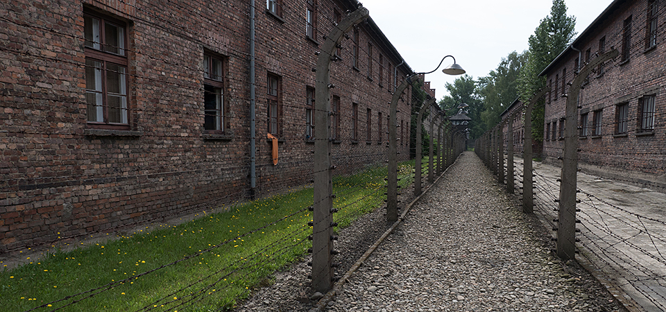 Auschwitz WWII Anniversary AA – Catholic Outlook