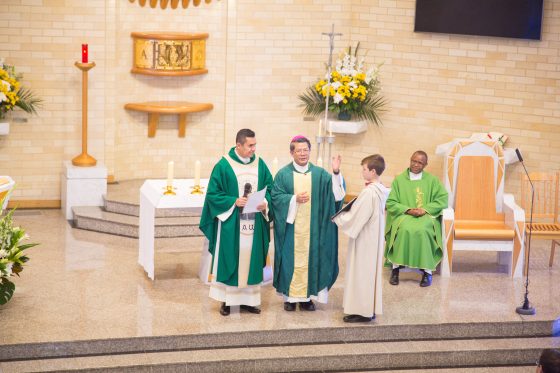 Fr Fernando reflects on 20 years as a priest - Catholic Outlook