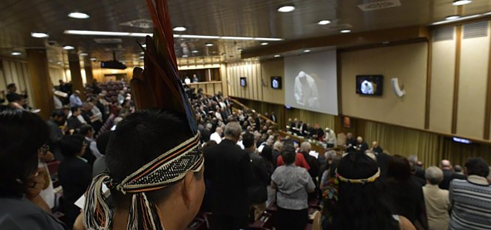 Amazon Synod Briefing: Education and the rights of Nature - Catholic ...