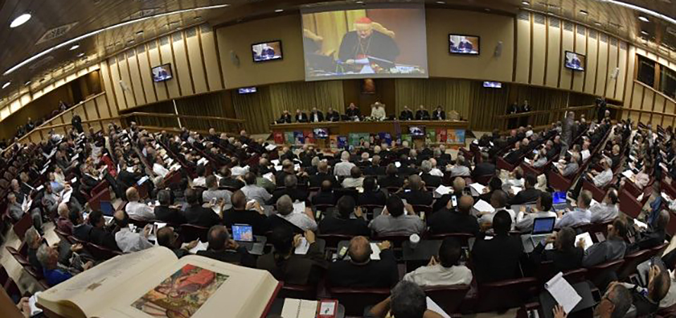 Amazon Synod Day 7: Appreciating the charism of the laity, distancing ...