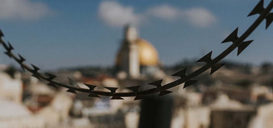 Pope Francis’ Prayer Intention for November - Catholic Outlook
