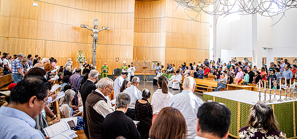 Book review - Clericalism: Stories from the Pews - Catholic Outlook