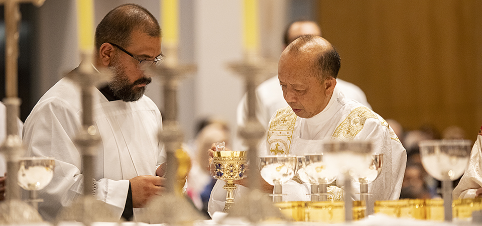 Pope Francis’ Prayer Intention for May - Catholic Outlook