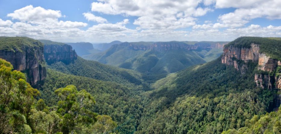 What does it mean to believe in an ecological God? - Catholic Outlook