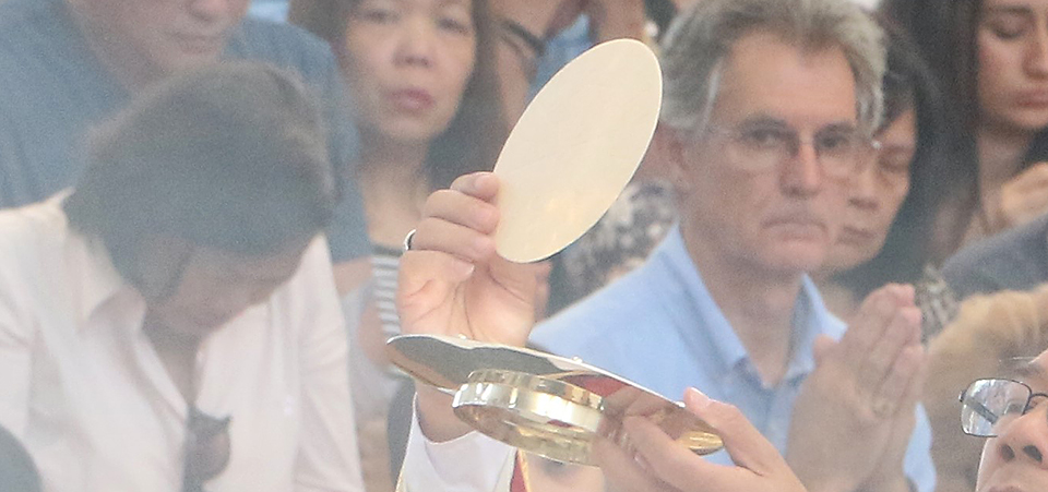 Eucharistic Revival and synodality - Catholic Outlook