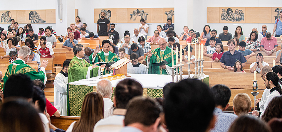 The field hospital - Catholic Outlook