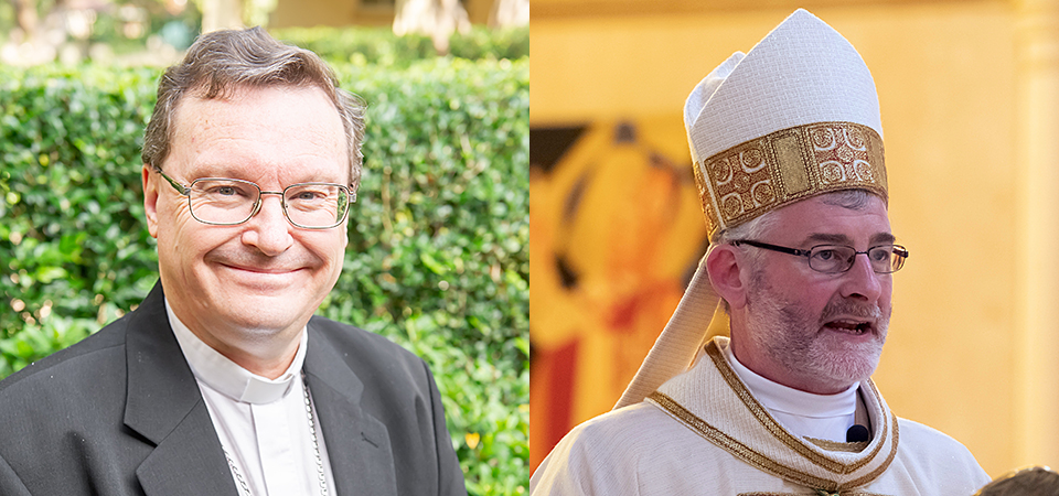 Bishops elected as Australian delegates to Synod of Bishops - Catholic ...