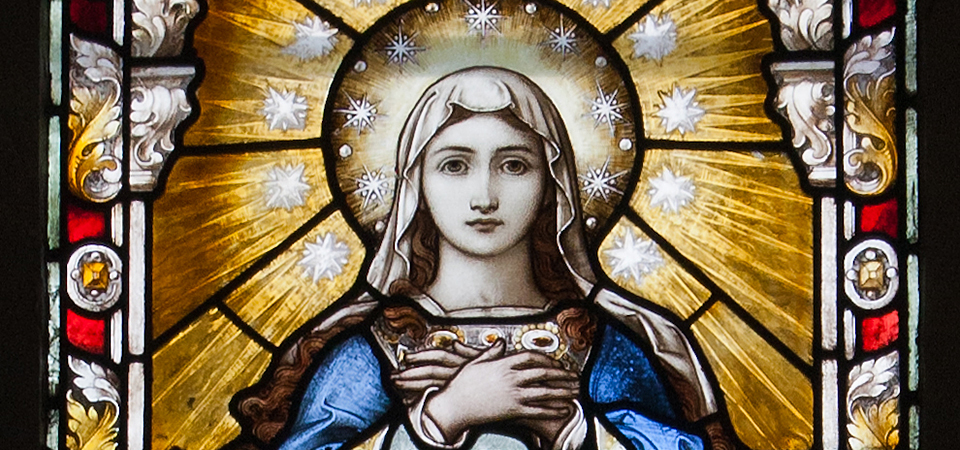 The Solemnity of the Immaculate Conception - Catholic Outlook