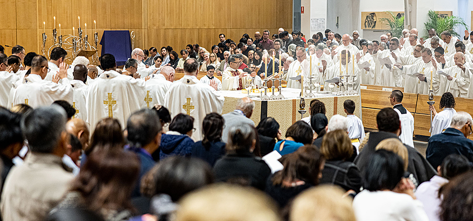 Pope at Audience: We are all called to be apostles - Catholic Outlook