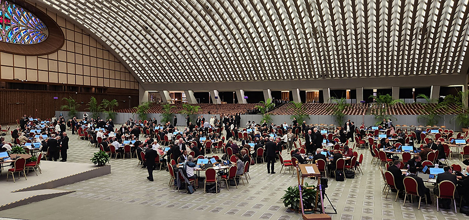 Inside the Synod assembly "things have taken off" - Catholic Outlook