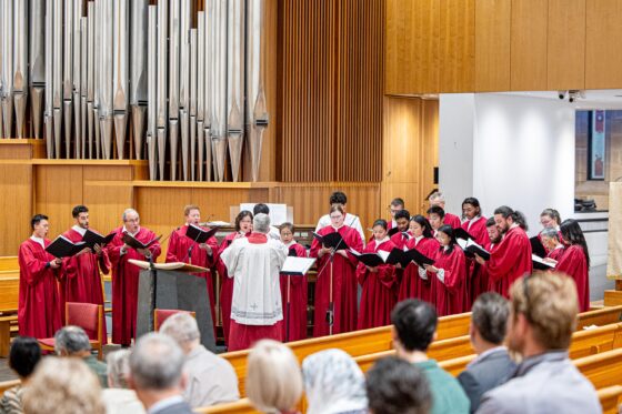 Gala concert to celebrate 125 years of Cathedral organ - Catholic Outlook