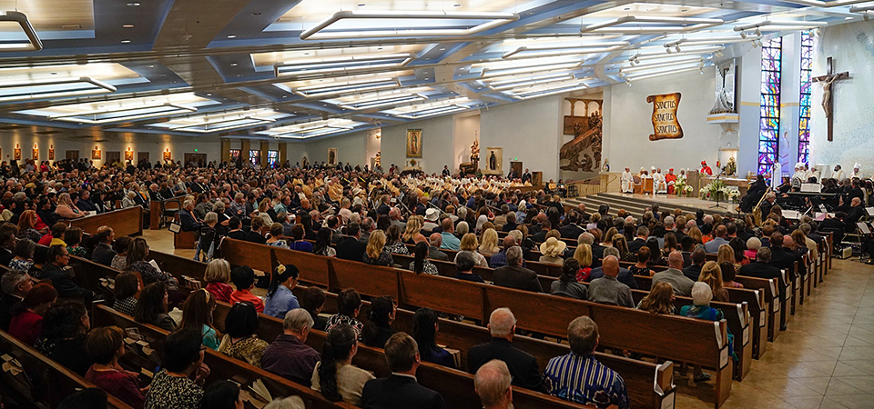 Growth and decline in the US Catholic Church - Catholic Outlook