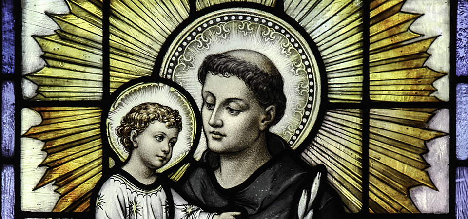 A reflection for the Memorial of St Anthony of Padua - Catholic Outlook