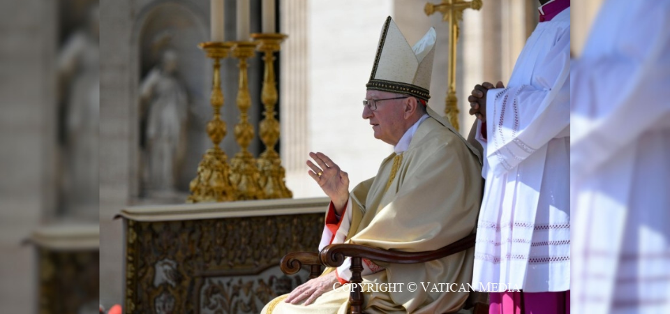 Backer of Cardinal Parolin attacks Pope Francis’ push for lay ...