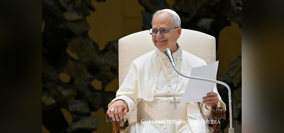 Pope Leo's first formal interview: Wage inequality, Elon Musk, peace ...